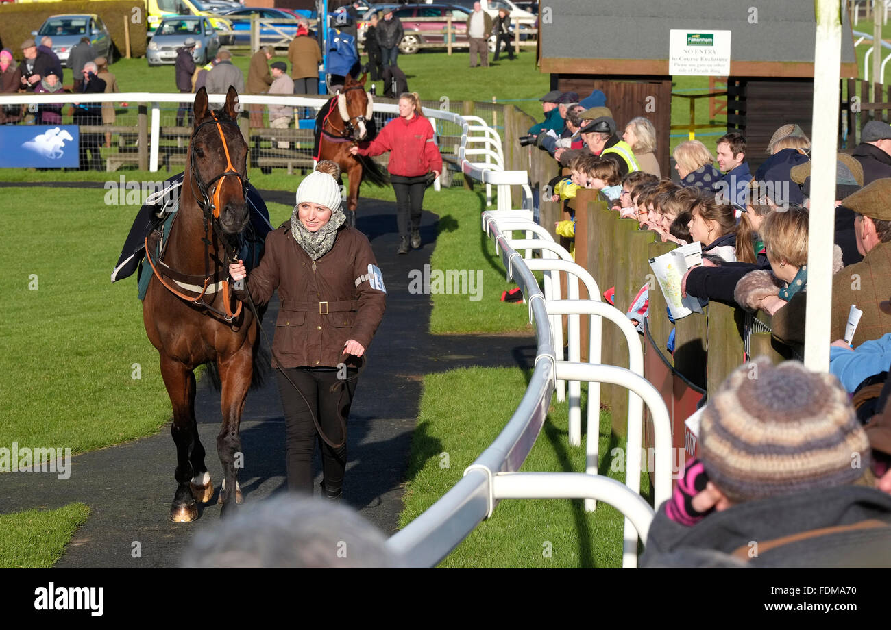 Horse racing paddock parade hi-res stock photography and images - Alamy