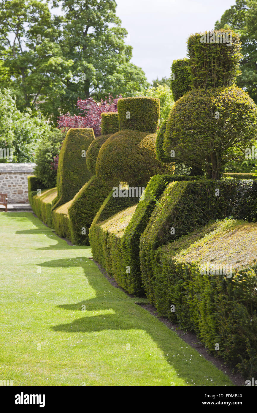 Topiary in the gardens at Avebury Manor, Wiltshire Stock Photo - Alamy