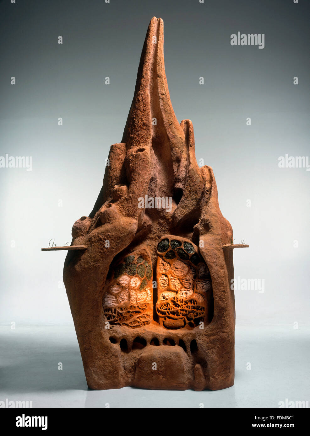 Termite Mound Cross Section
