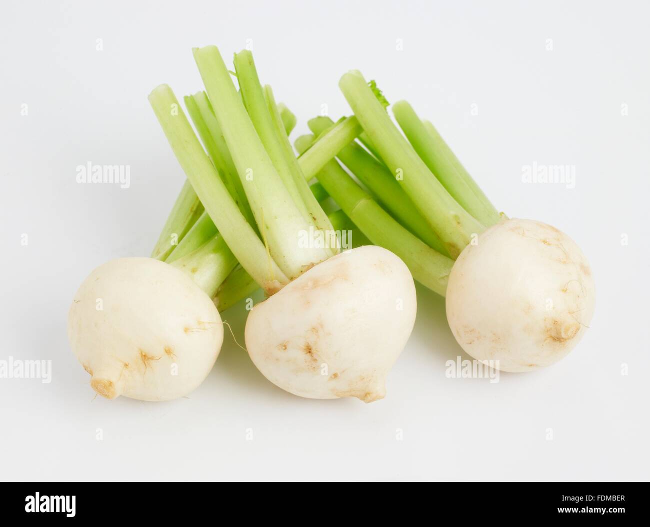 Turnip tokyo cross hi-res stock photography and images - Alamy