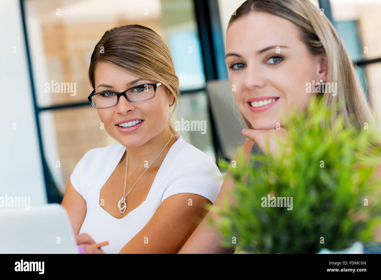 Two collegues in an office Stock Photo - Alamy