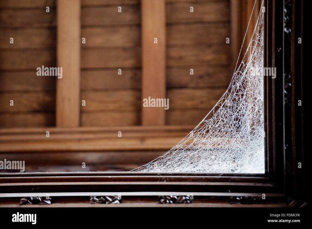 Cobweb hall hi-res stock photography and images - Alamy