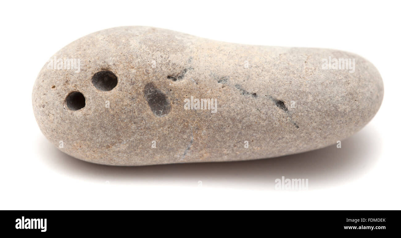 pebble with holes in it isolated on white background Stock Photo - Alamy