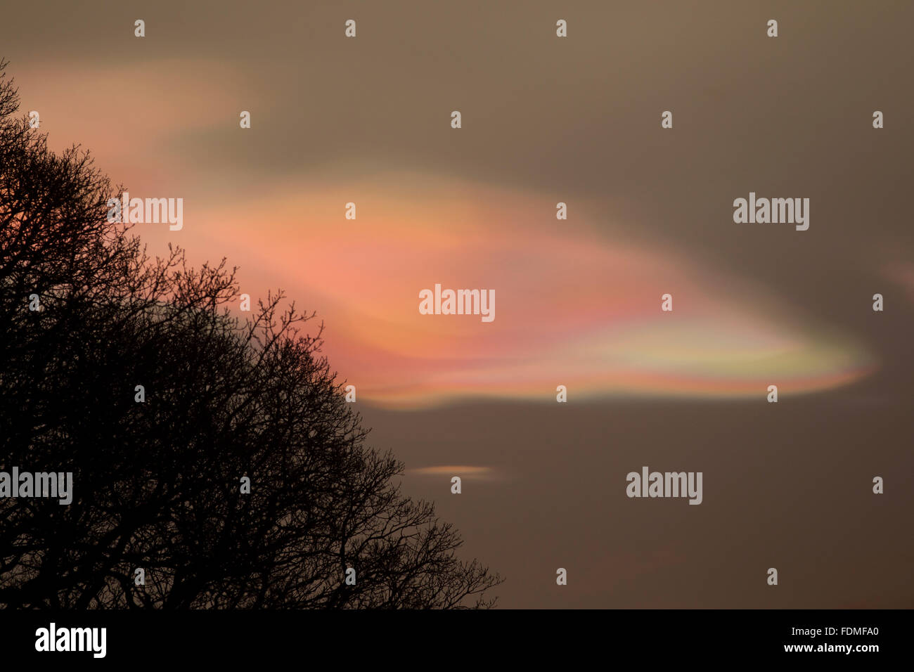 Windermere, Cumbria, UK. 1st February, 2016. UK Weather: Vivid colours ...