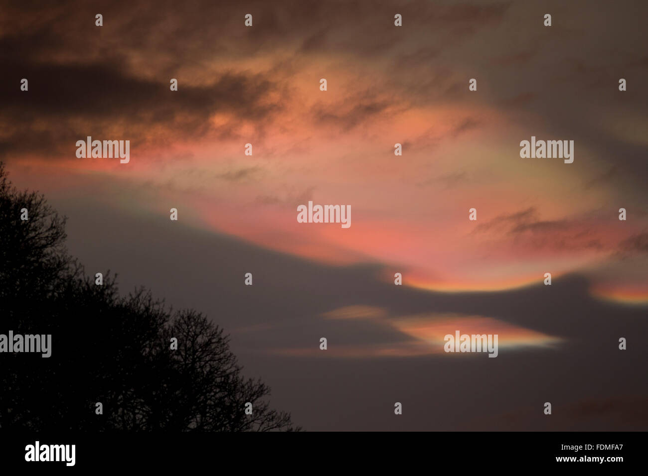Windermere, Cumbria, UK. 1st February, 2016. UK Weather: Vivid colours ...