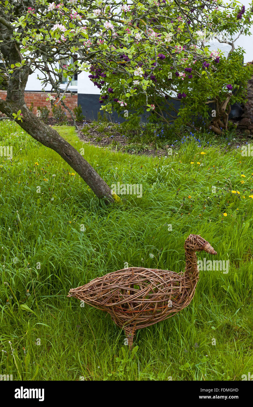 Wickerwork goose in the garden at Coleridge Cottage, Bridgwater ...