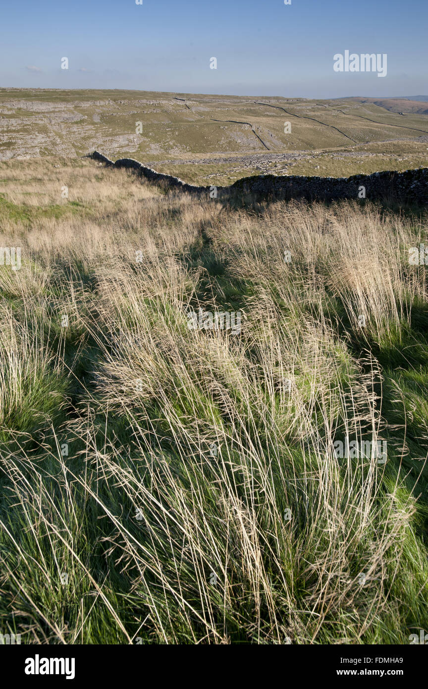 Limestone escarpment between Malham Tarn and Malham Cove, Yorkshire ...