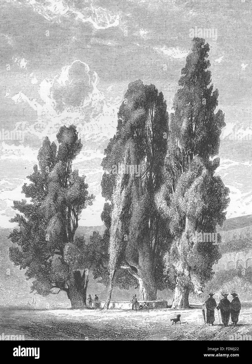 Michael angelo hi-res stock photography and images - Alamy