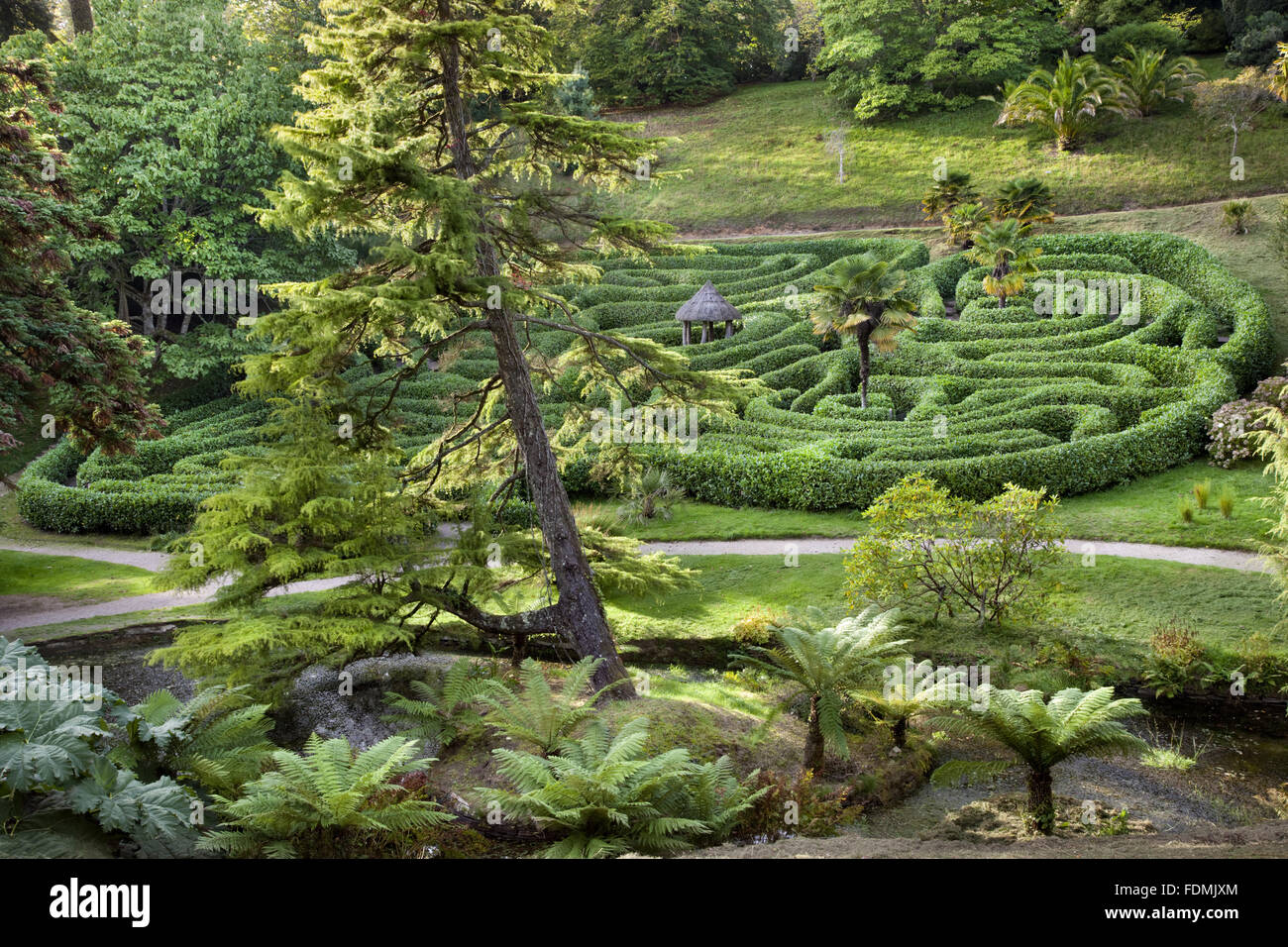 Maze cornwall hi-res stock photography and images - Alamy