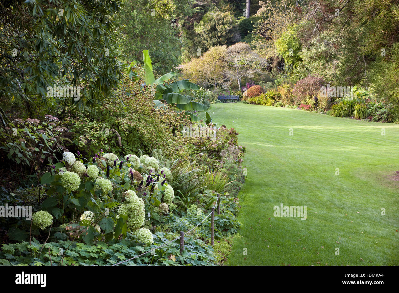 October cornwall hi-res stock photography and images - Alamy