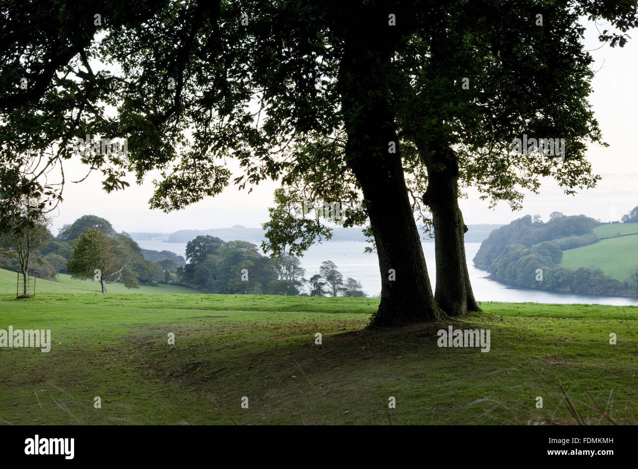 The Carrick Roads seen from Trelissick Garden, Cornwall Stock Photo - Alamy