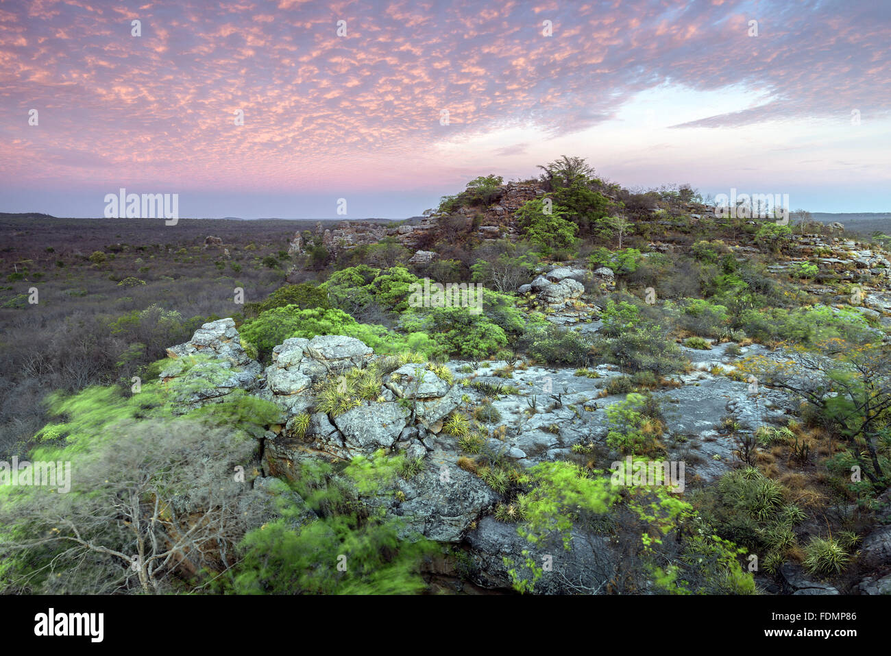 Savanna formations hi-res stock photography and images - Alamy