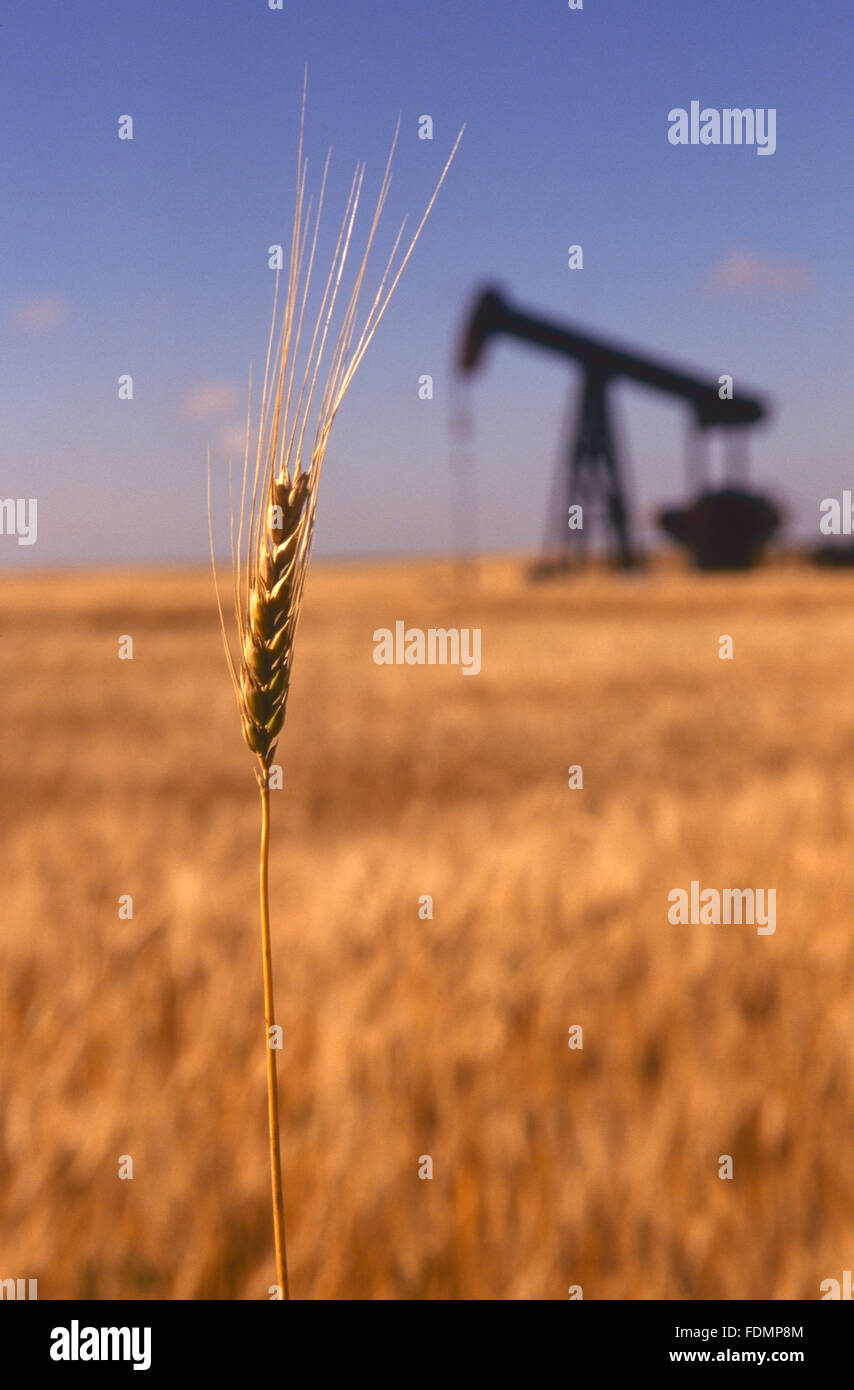 Gas field kansas hi-res stock photography and images - Alamy