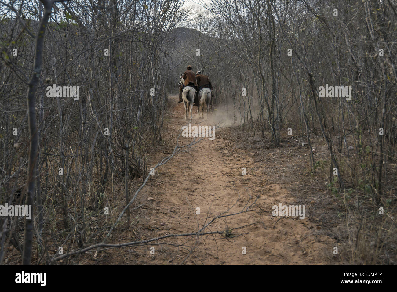 Two riding cowboys hi-res stock photography and images - Alamy