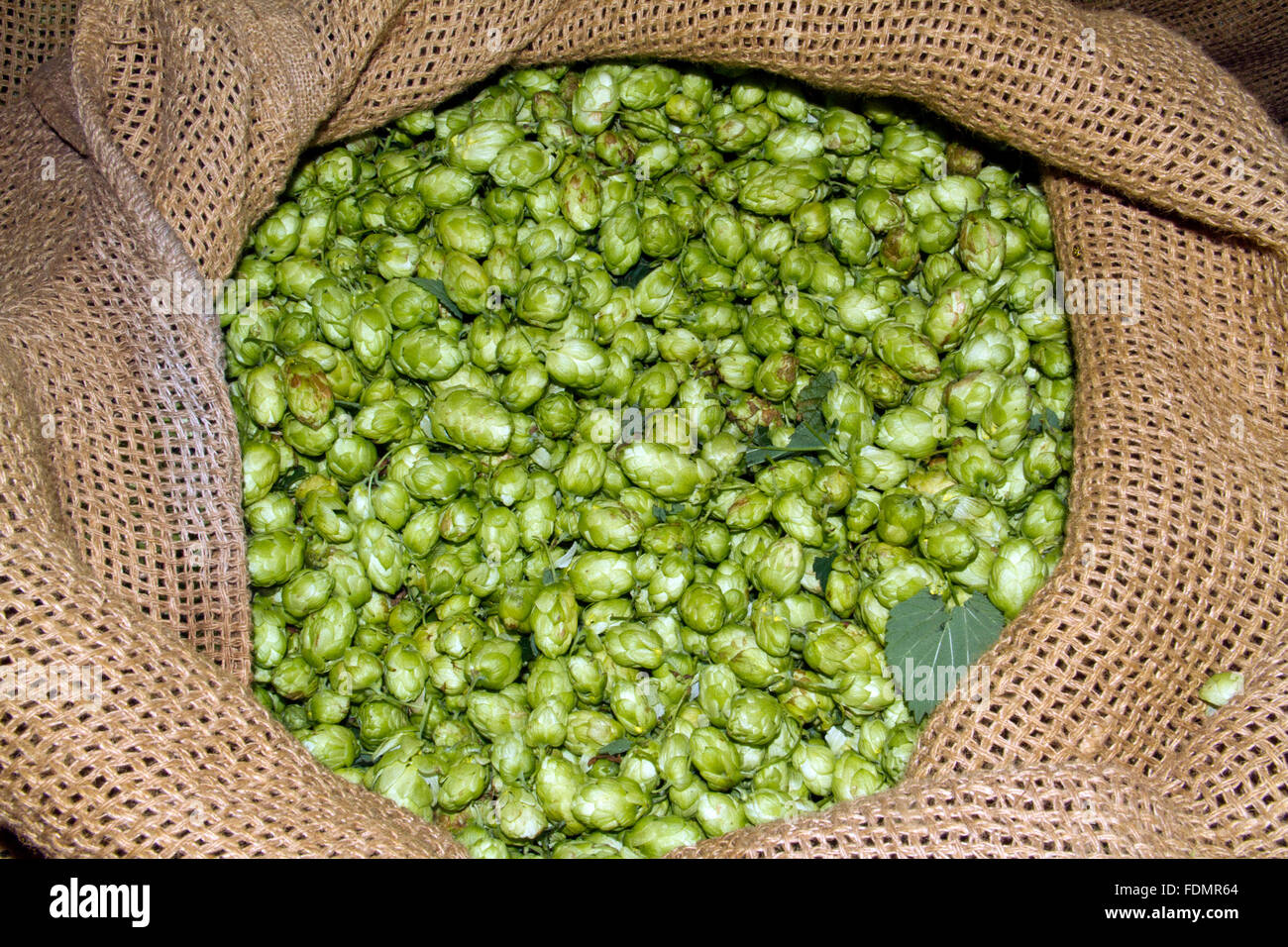 Hop poke hi-res stock photography and images - Alamy