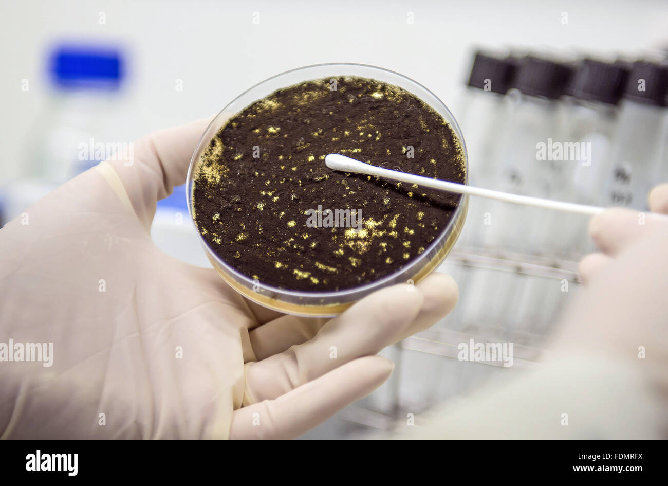 Inside view of pharmaceutical industry research laboratory Stock Photo ...