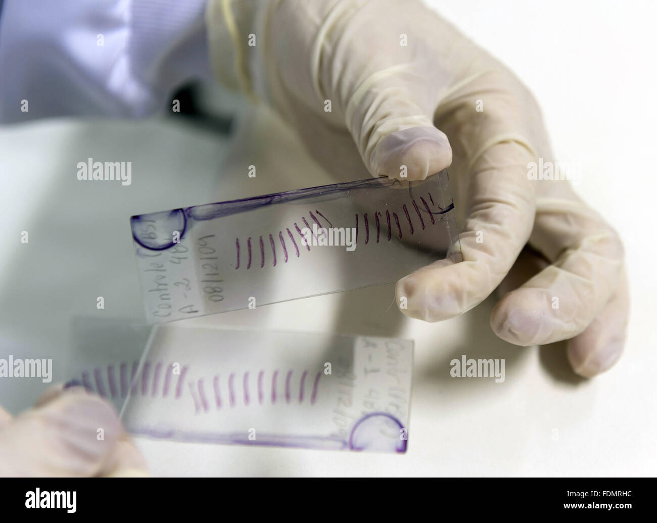 Search drugs in the laboratory of the Faculty of Pharmaceutical ...