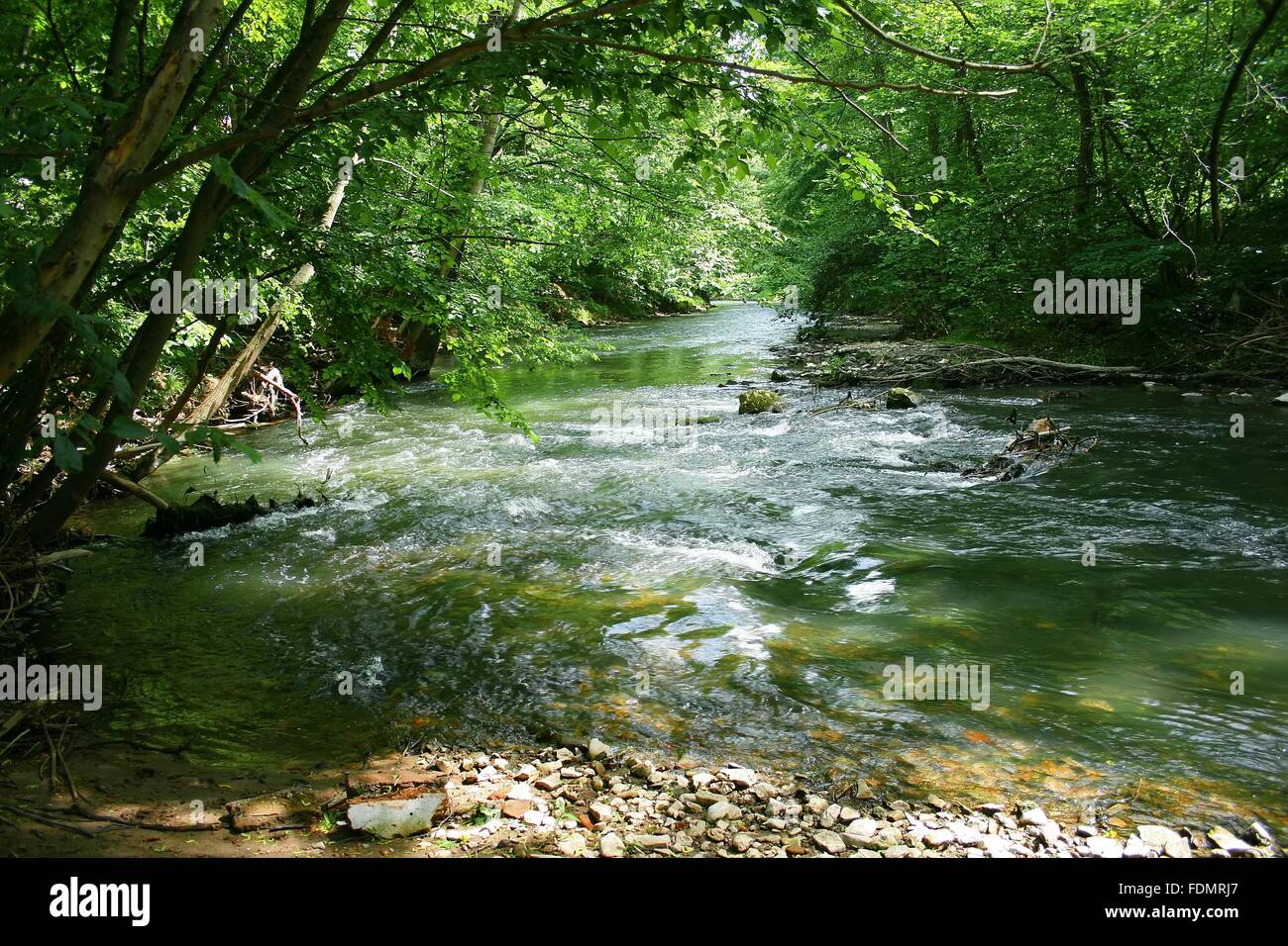 River Ilm Stock Photos & River Ilm Stock Images - Alamy