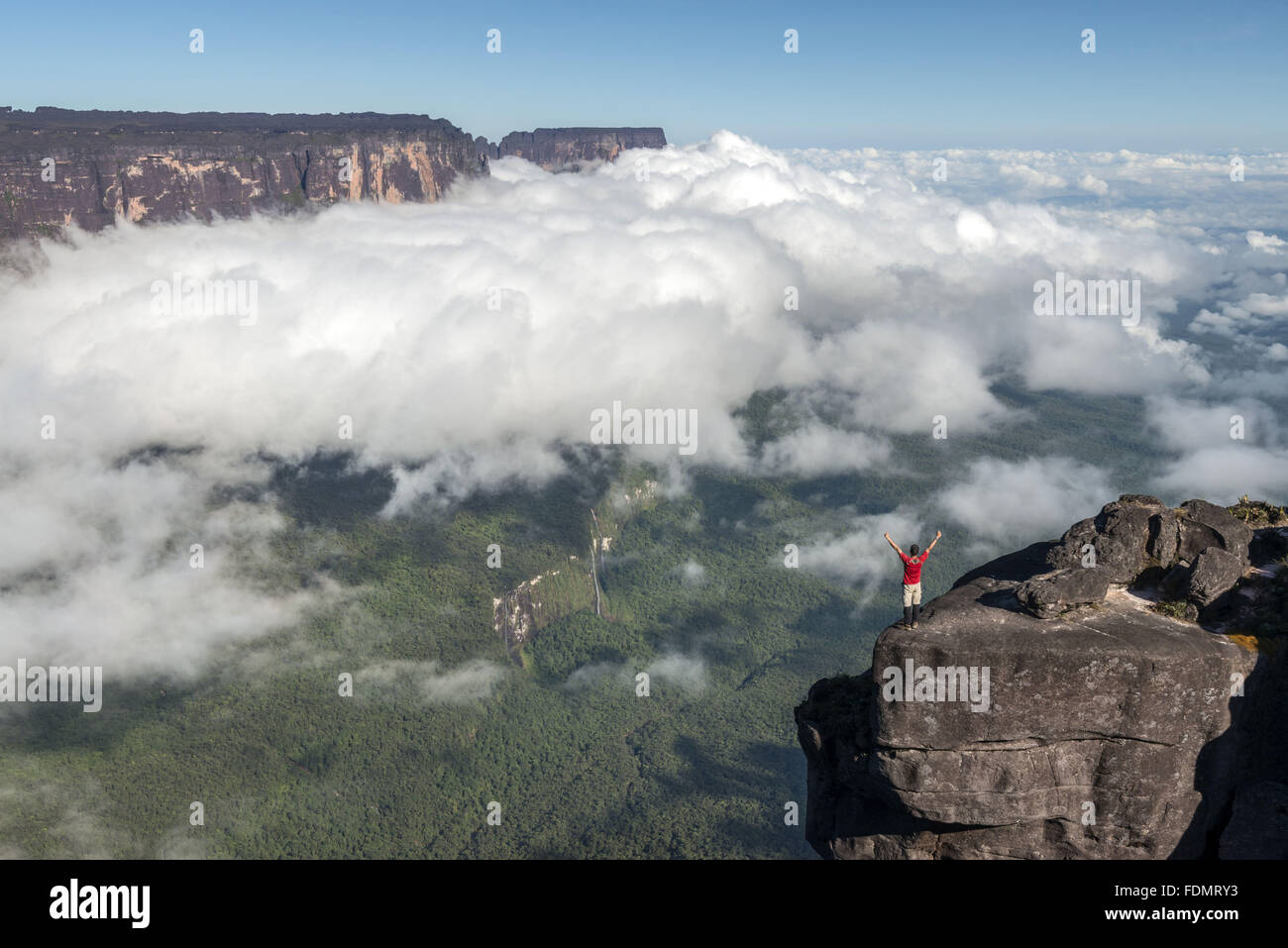 Tourist contemplating the landscape of Mount Roraima National Park ...