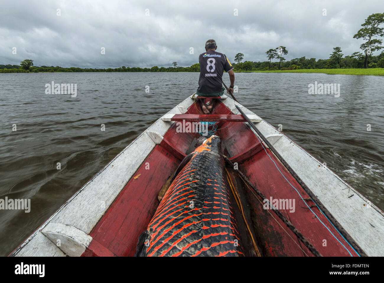 Rdsm hi-res stock photography and images - Alamy