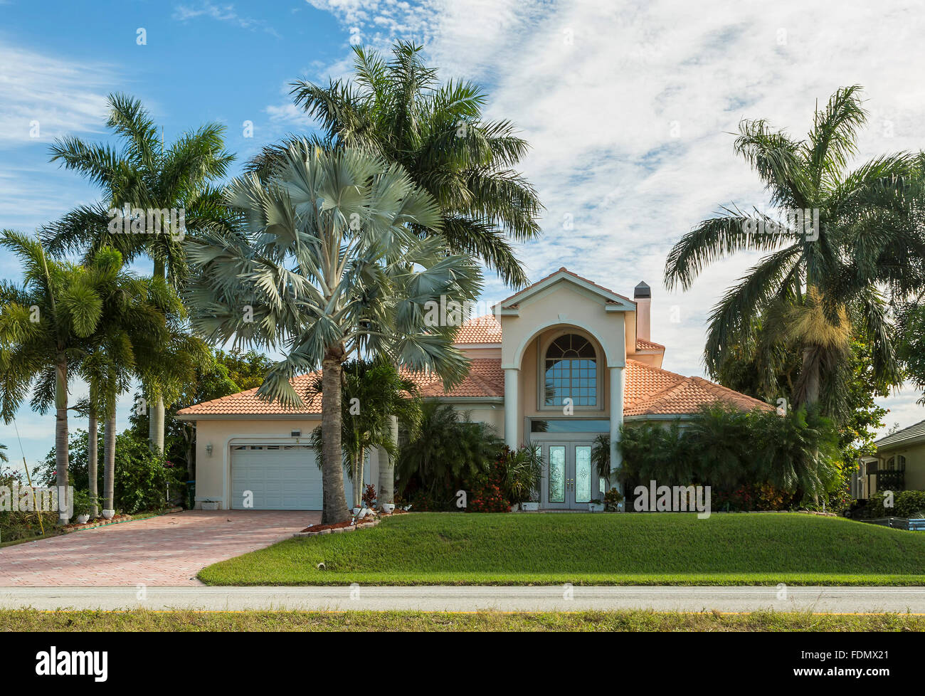 Sw Florida Flowering Trees