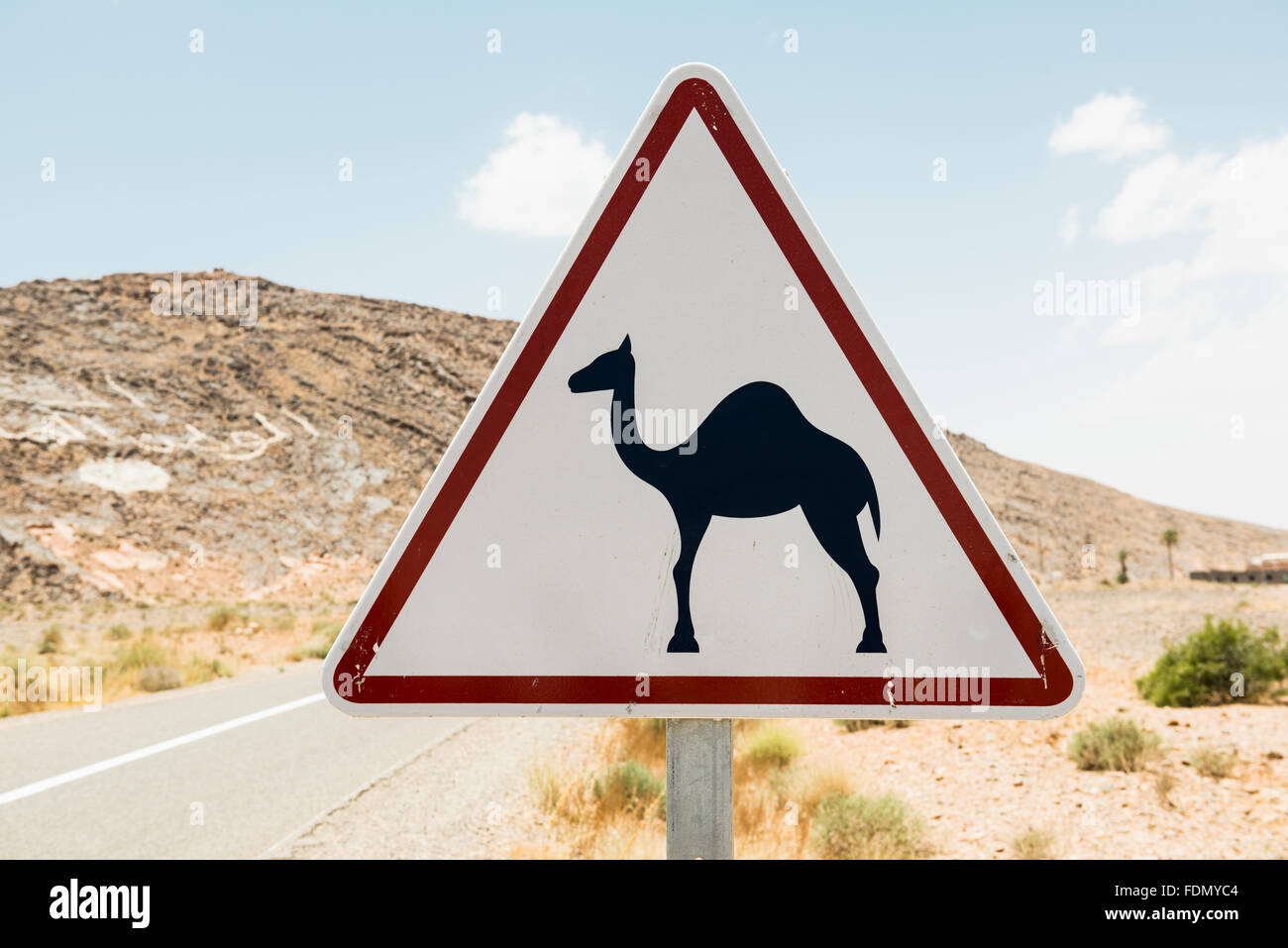 Camel warning hi-res stock photography and images - Alamy
