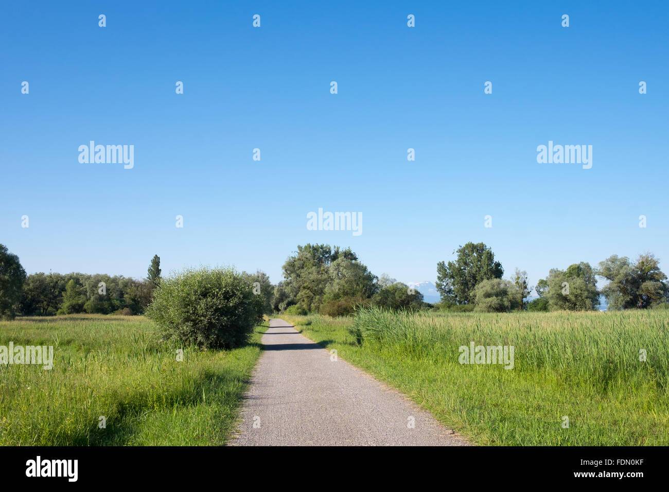 Eriskircher hi-res stock photography and images - Alamy
