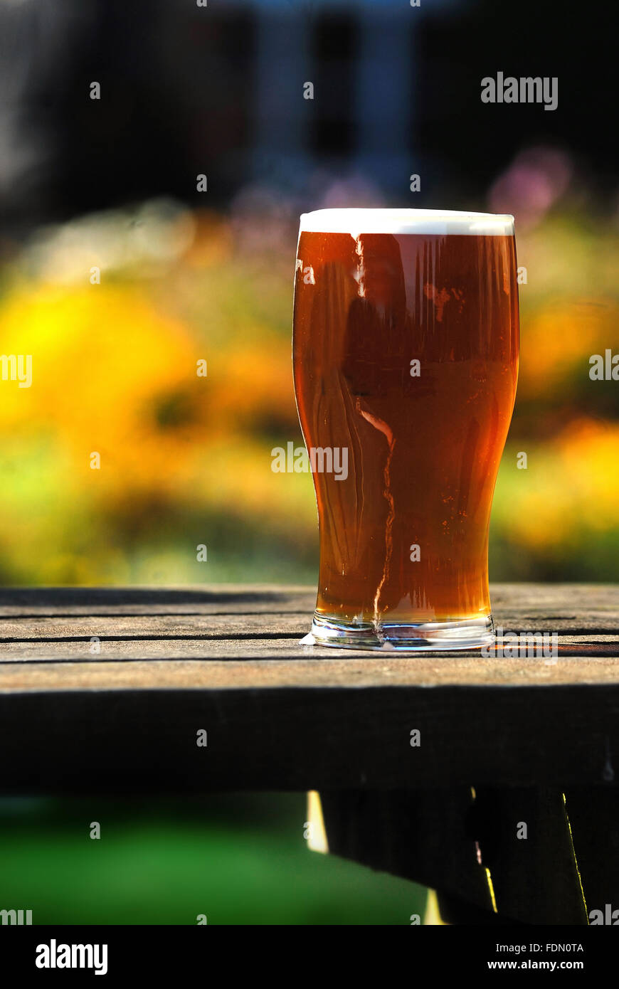 pint of real ale Stock Photo - Alamy