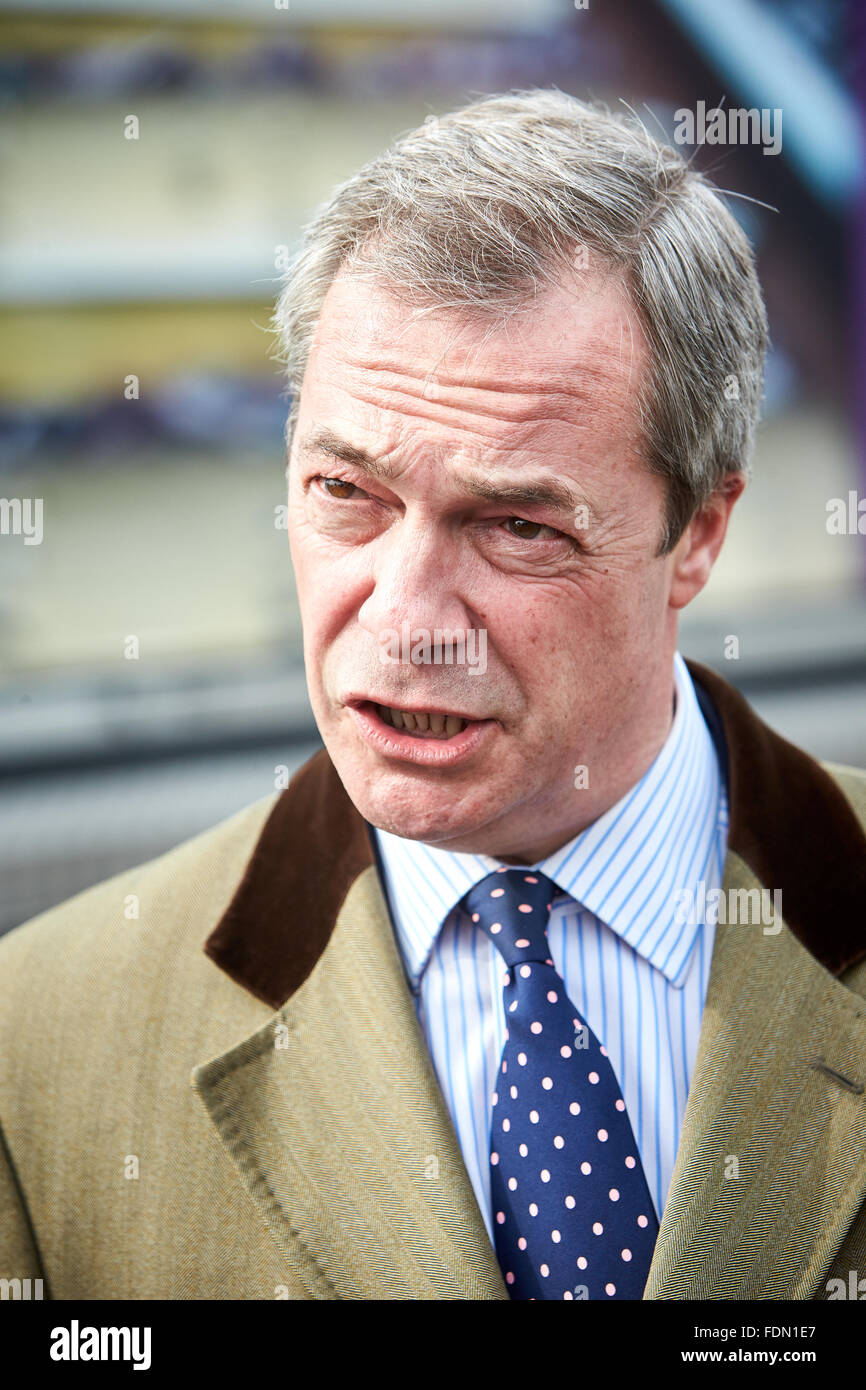 UKIP party leader Nigel Farage Stock Photo - Alamy