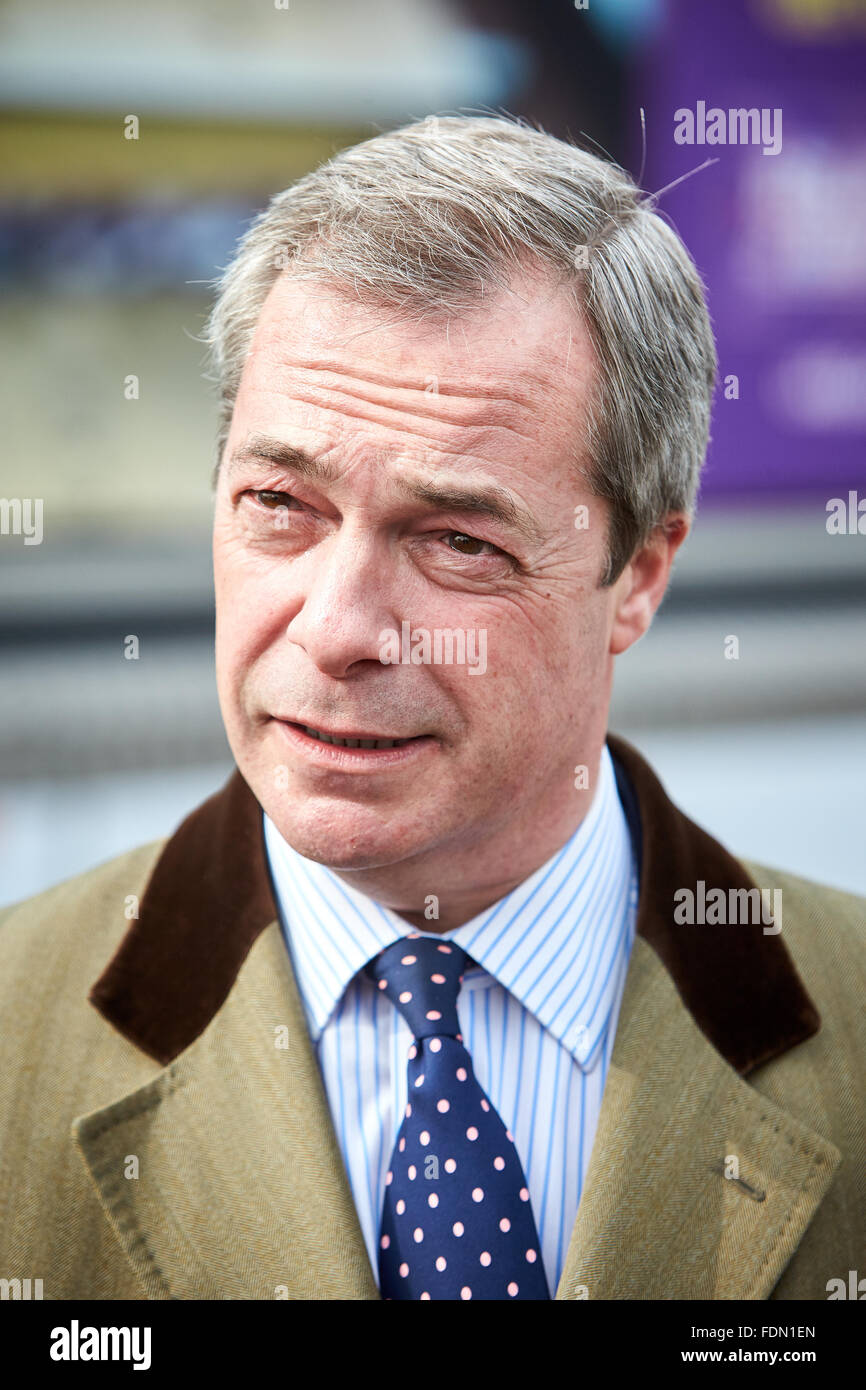 UKIP party leader Nigel Farage Stock Photo - Alamy