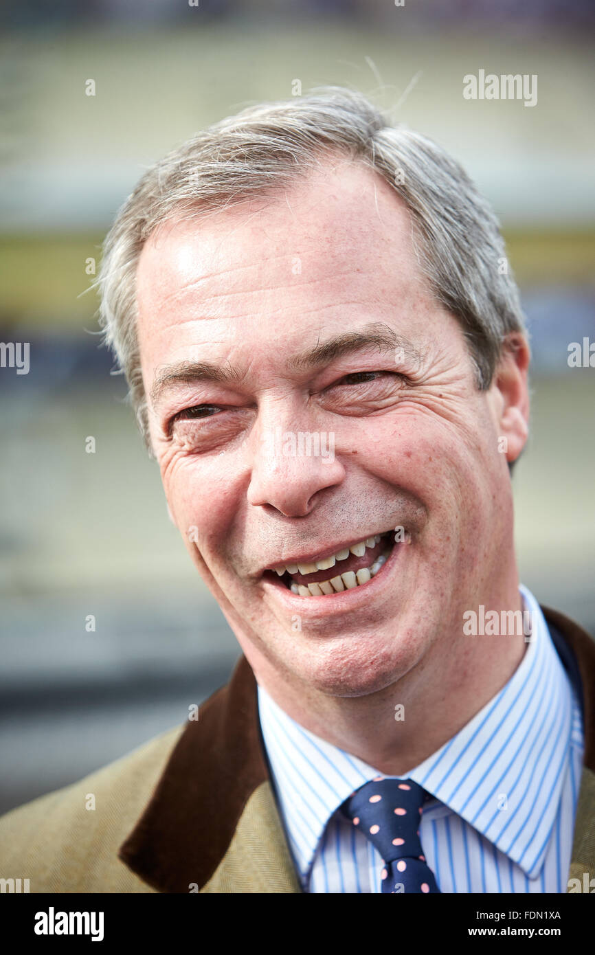 UKIP party leader Nigel Farage Stock Photo - Alamy