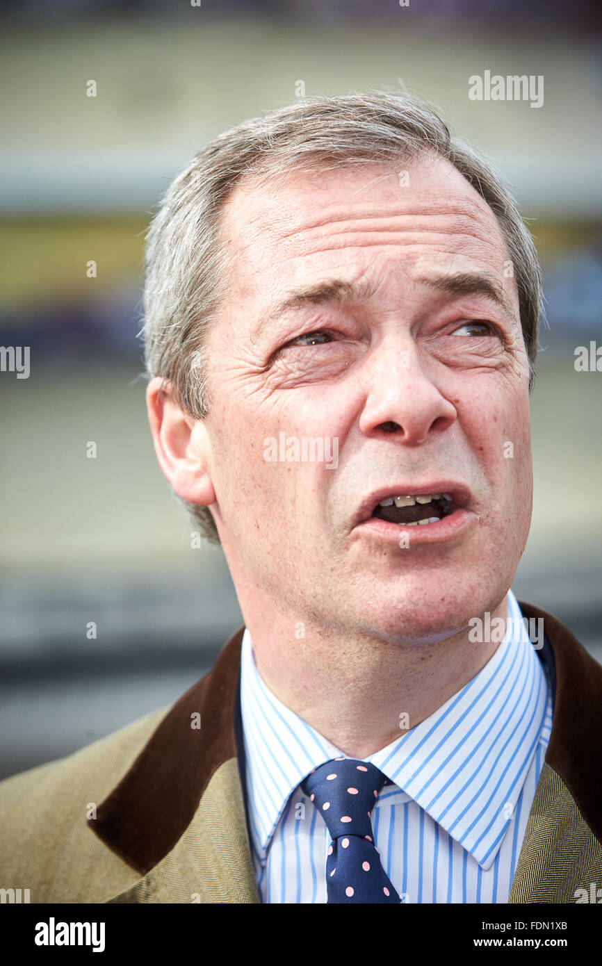 UKIP party leader Nigel Farage Stock Photo - Alamy