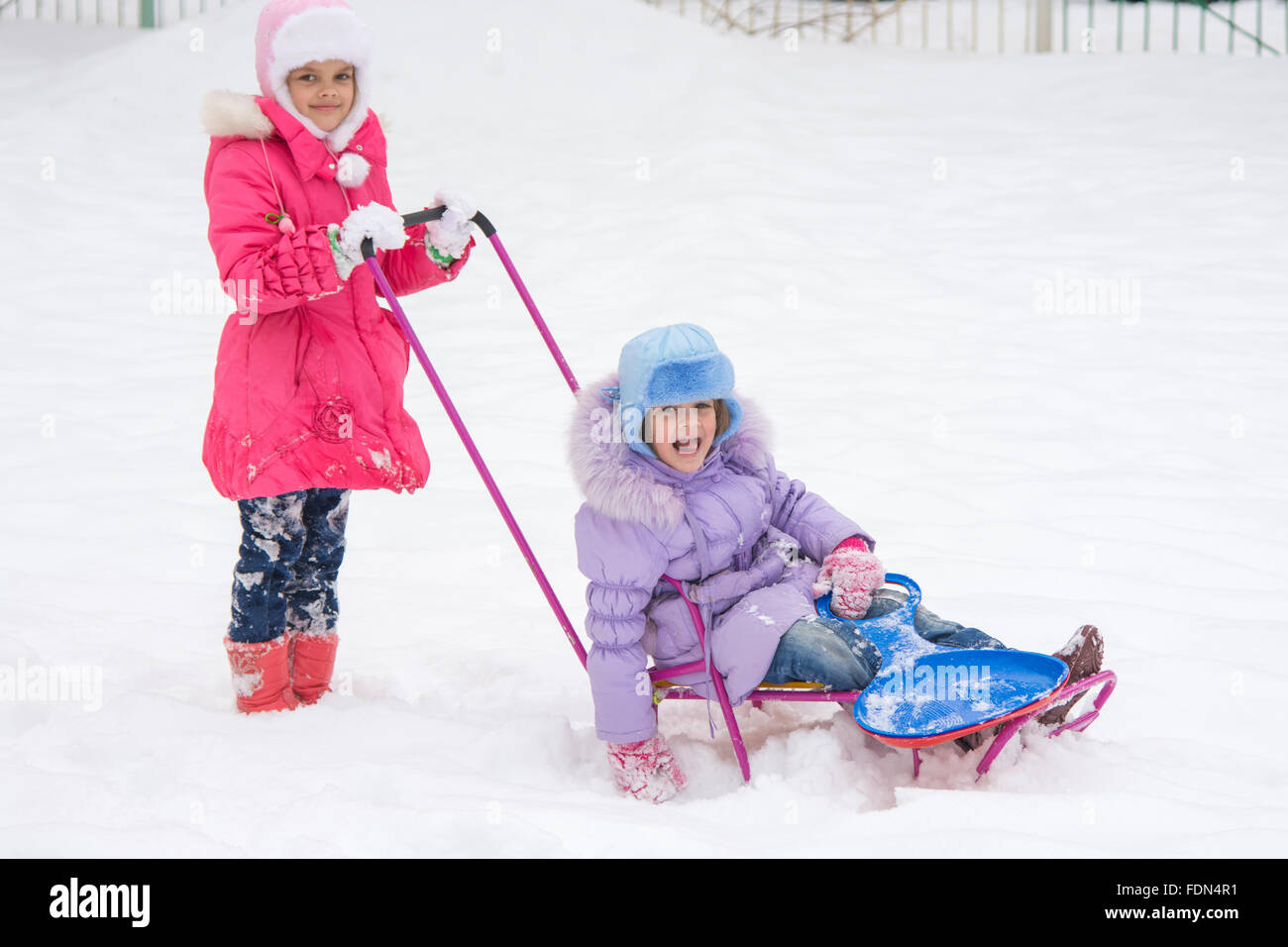 Two girls girlfriends ride each other on a sled in the snowy winter ...