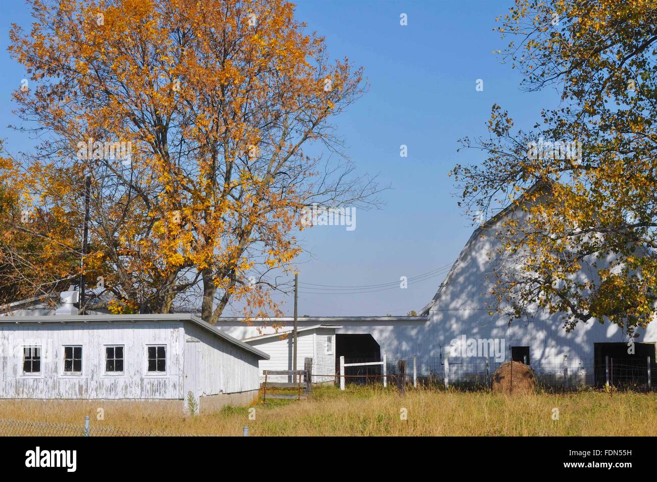 Rural buildings Benton County Indiana Stock Photo - Alamy
