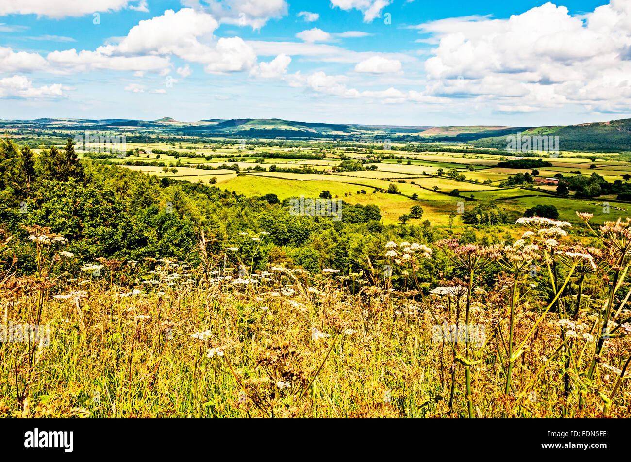 landscape in North Yorkshire near bransdale Stock Photo - Alamy