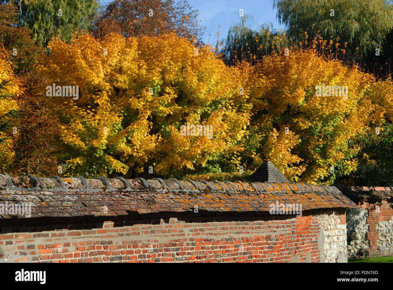 Autumn in mesnieres en bray hi-res stock photography and images - Alamy