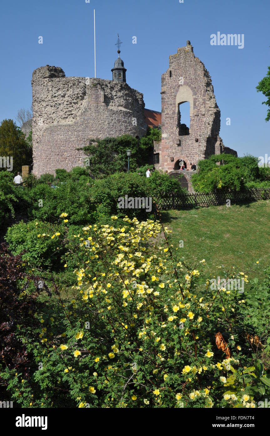 Hayn Castle High Resolution Stock Photography and Images - Alamy