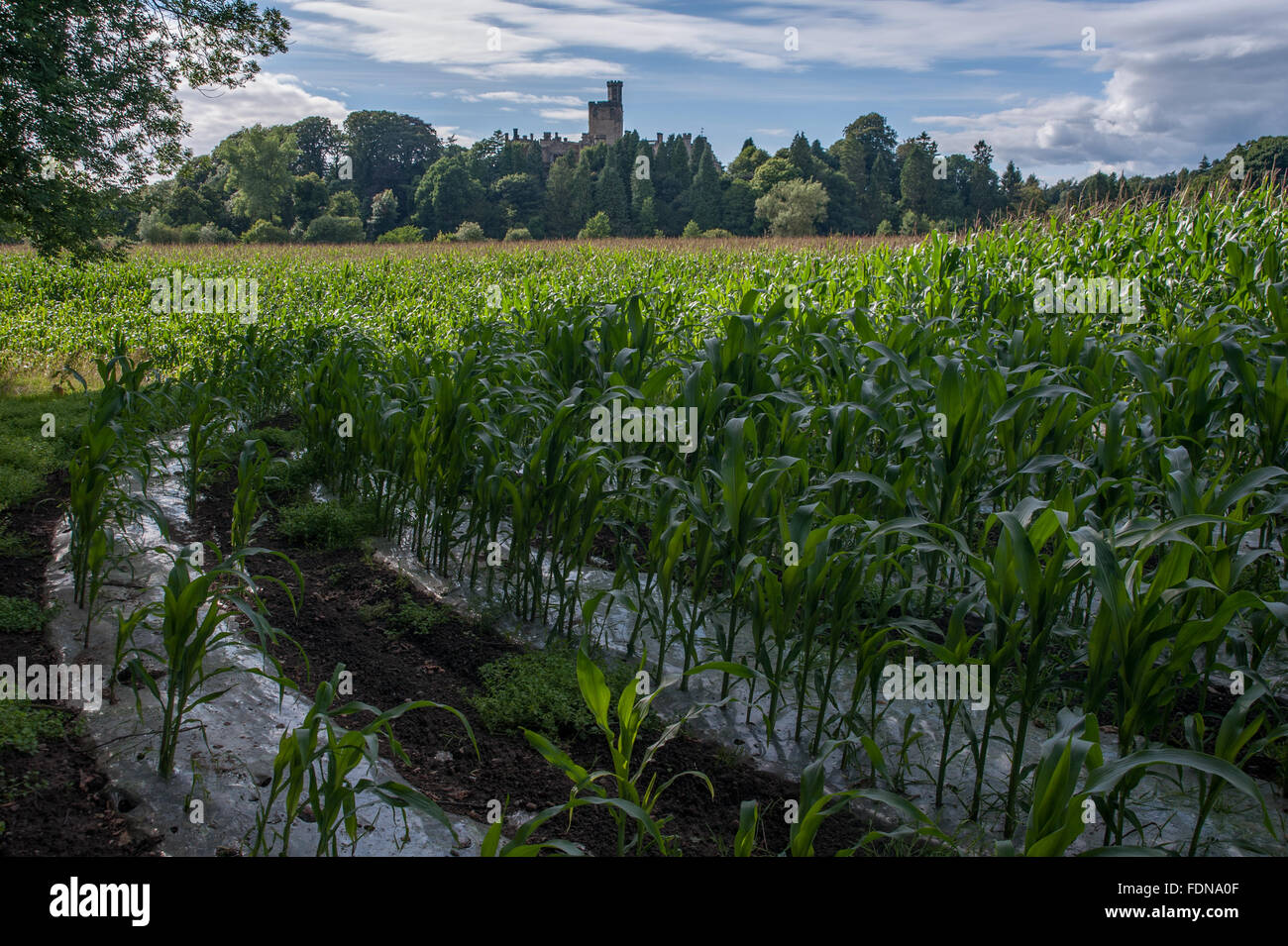 Hornby castle hi-res stock photography and images - Alamy