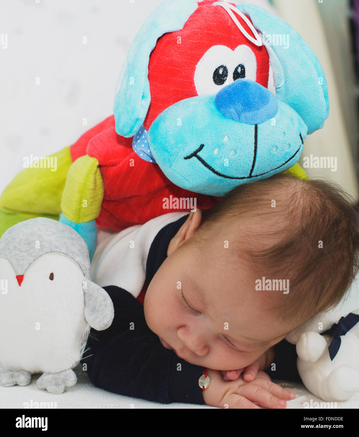 Sleeping with the toys hi-res stock photography and images - Alamy