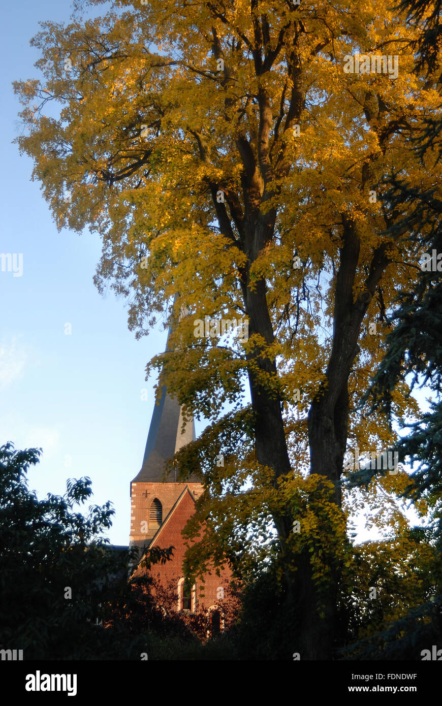 Bures en bray hi-res stock photography and images - Alamy