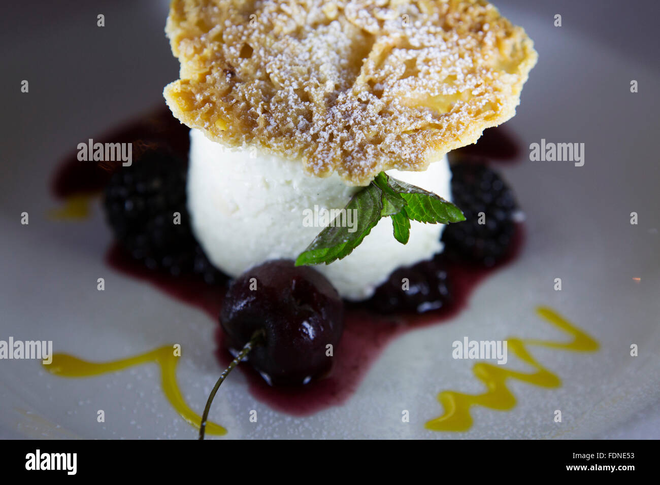 A dessert featuring forest fruits and ice cream is served in Halifax ...