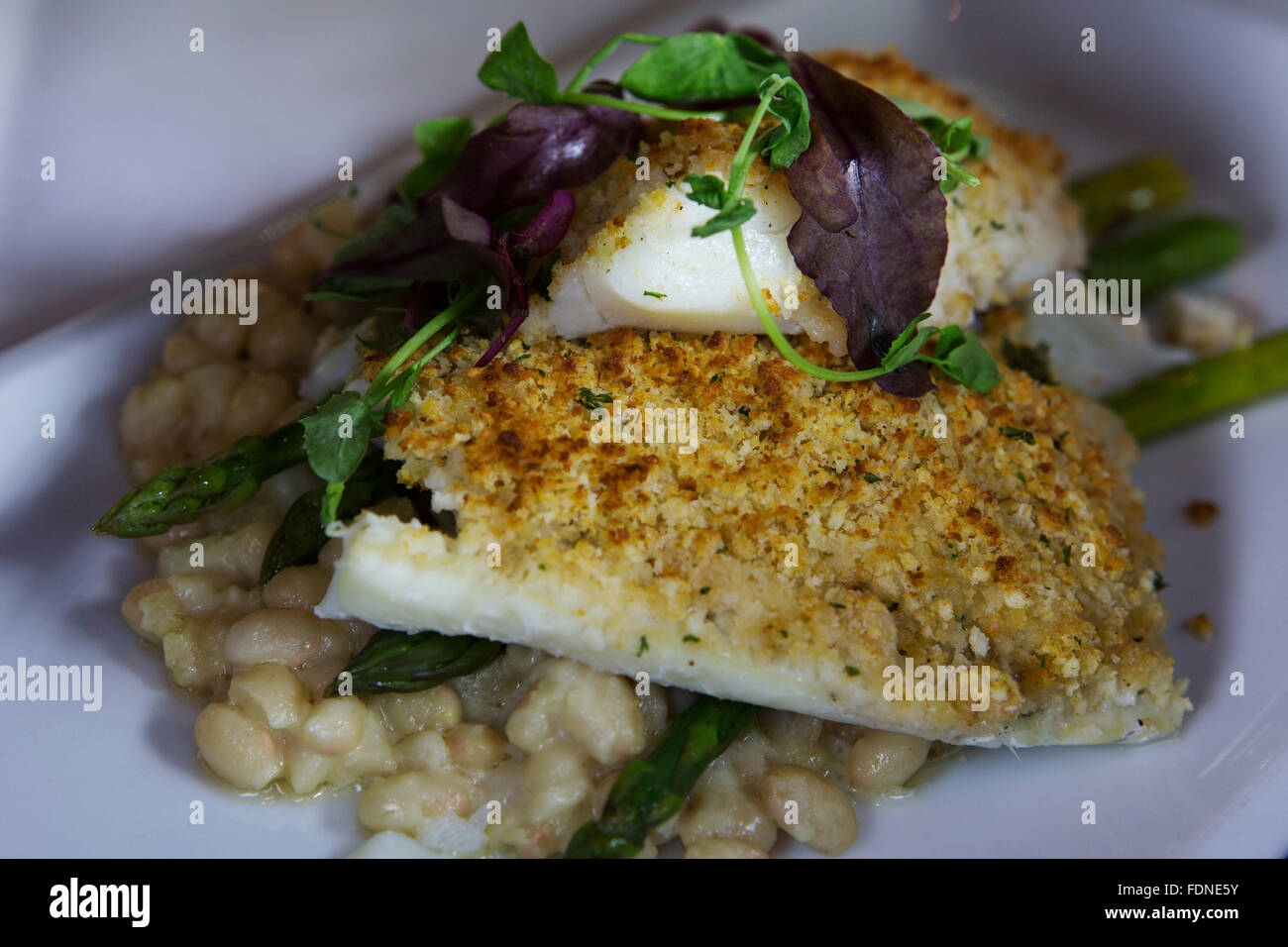 Fish and beans hi-res stock photography and images - Alamy