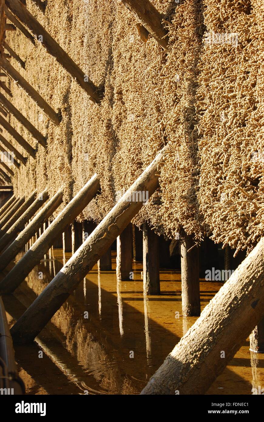 Brine Graduation Towers High Resolution Stock Photography and Images ...