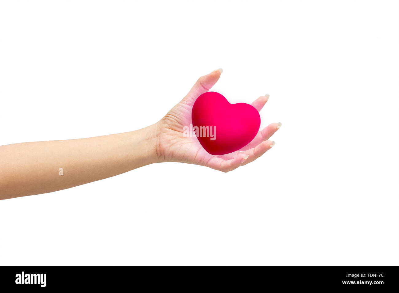 pink heart in man hands, isolated on white background Stock Photo - Alamy