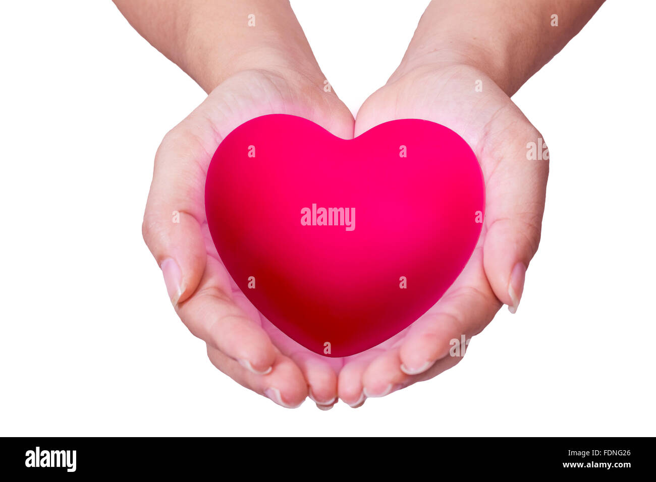 pink heart in man hands, isolated on white background Stock Photo - Alamy