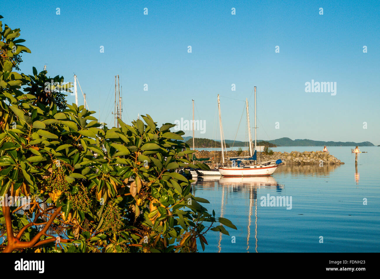 Marina, Ganges, Salt Spring Island, British Columbia, Canada Stock ...