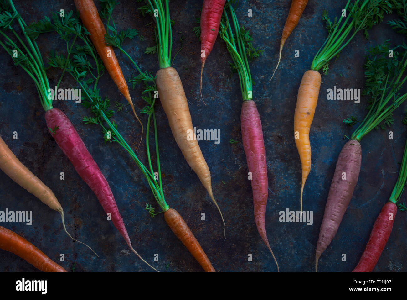 Multi coloured carrots Stock Photo - Alamy