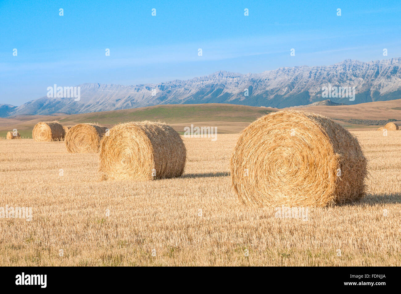 Canada foothills hi-res stock photography and images - Alamy