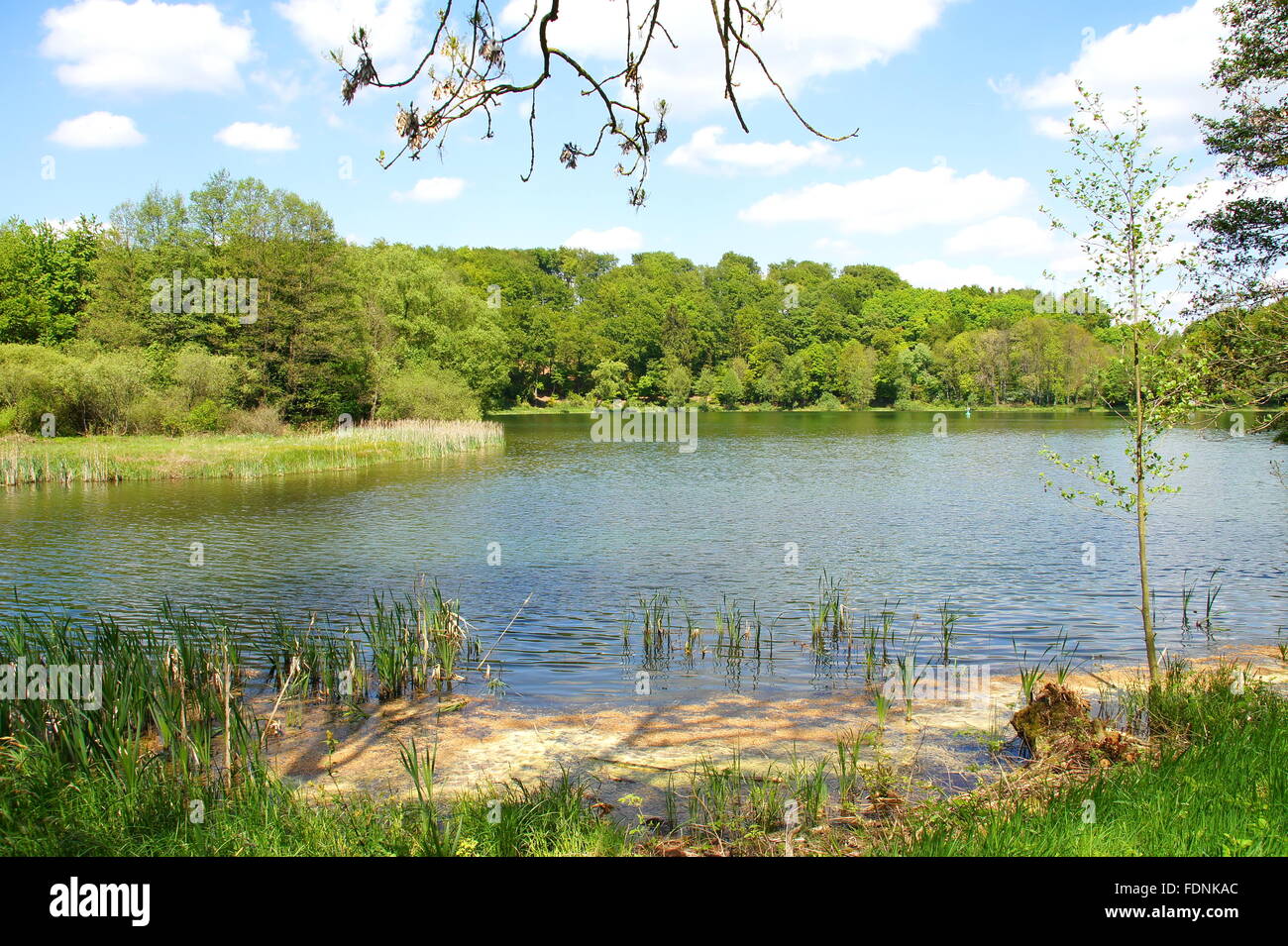 Vulcano Eifel High Resolution Stock Photography and Images - Alamy