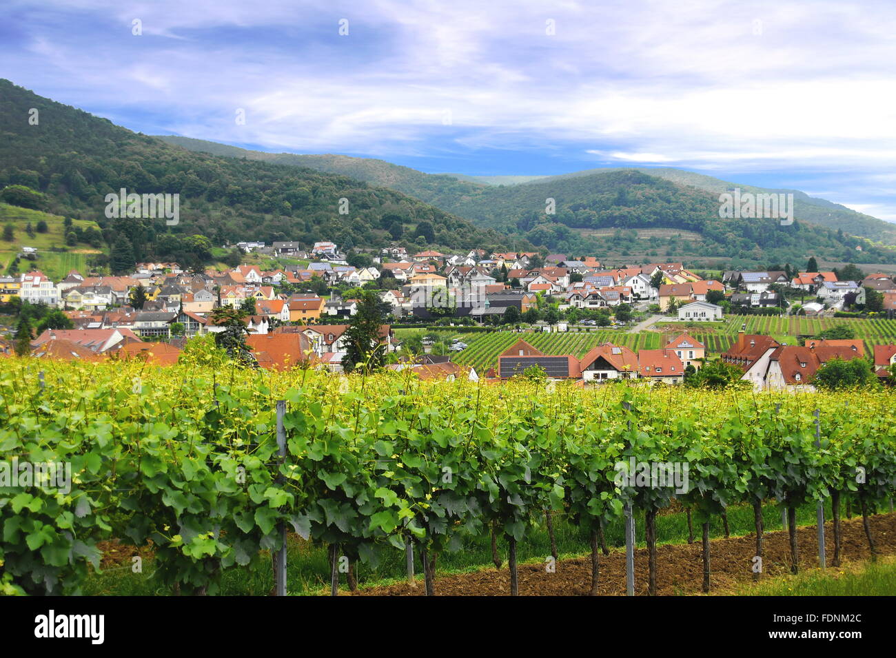 Wine of st martin's day hi-res stock photography and images - Alamy